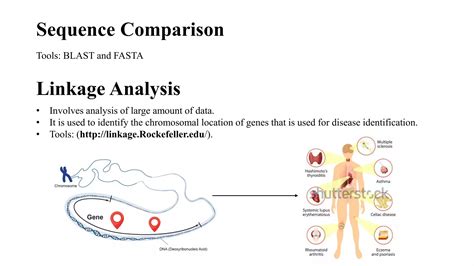 applications of bioinformatics pdf