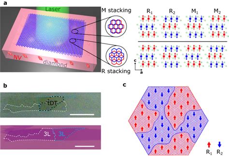 通过宽视场量子显微镜揭示莫尔磁的本征域和波动nature Communications X Mol
