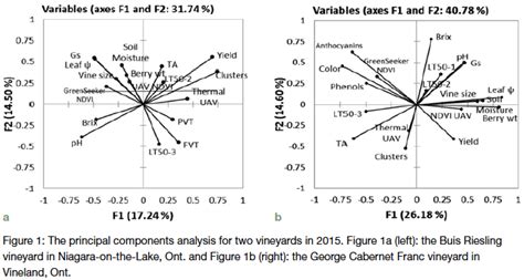 viticultural mapping by uavs part 2 winebusiness analytics
