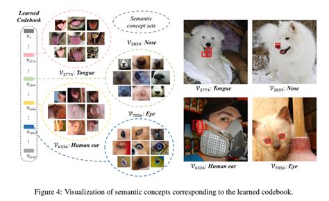 self supervised learning （六）beitv2 知乎