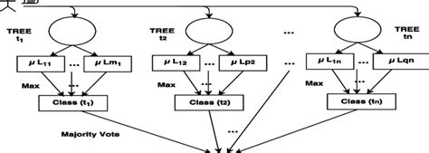 Classification Of A New Observation In The Fuzzy Random Forest