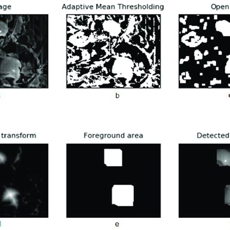 Stages Of Foreground Object Selection On The Image A Original Image Download Scientific