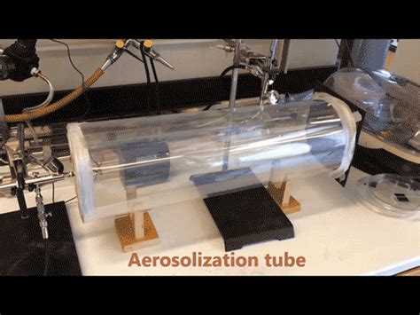 Scientists Create Smallest Robots Yet That Can Sense Their Environment