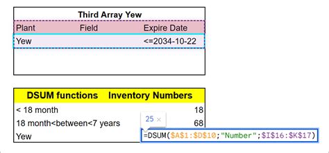 Sorting Dsum Mistake In Choosing The Right Database Records With Multiple Criteria In 3 Fields