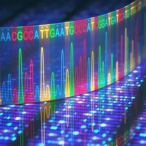 A Bitter Lesson Understanding The Genetic Basis Of Ptc Tasting