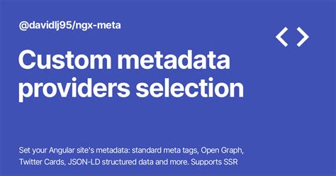 Custom Metadata Providers Selection Davidlj95ngx Meta