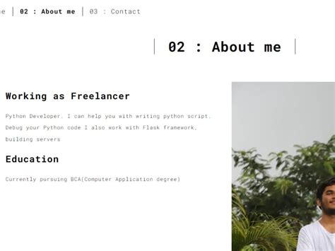 a complete portfolio website upwork