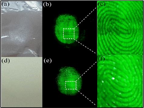 Latent Fingerprint Detection On Abc Aluminium Sheet And Def Download Scientific Diagram