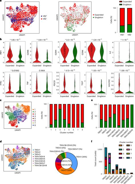 Tcr Expansion Of Exhausted γδ T Cell Clusters With No Vδ Chain Bias A