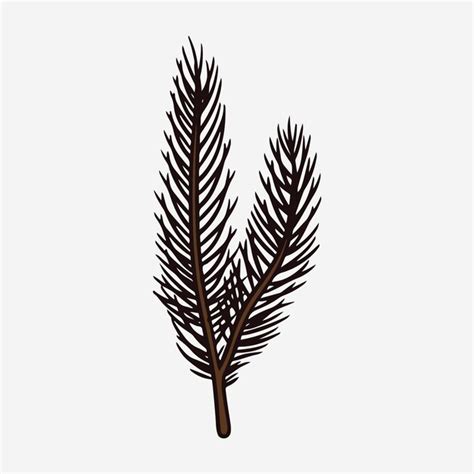 Premium Vector Pine Branch Leaf