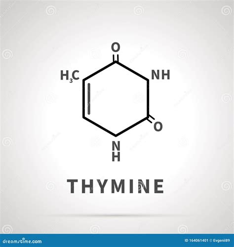 Chemical Structure Of Thymine One Of The Four Main Nucleobases Simple Black Icon Cartoon