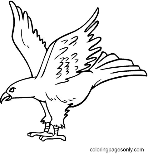 30 Eagle Coloring Pages Free Printable Pdf And Online Coloring
