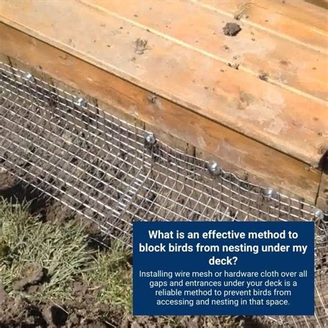 How Can I Keep Birds From Nesting Under My Deck