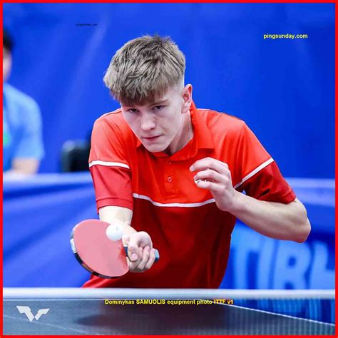 多米尼卡斯 Samuolis 设备 Pingsunday