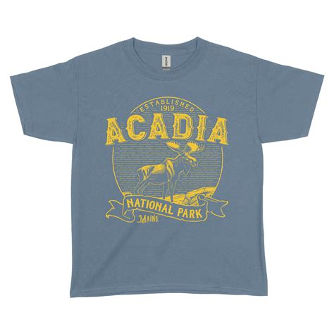 Acadia National Park Vintage Youth Tee Love Our Parks