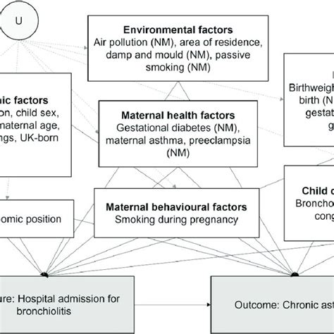 assumed causal directed acyclic graph for the bronchiolitis admission