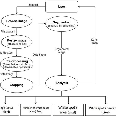 Example Of Labeling Results On Lung X Ray Image Segmentation Download Scientific Diagram