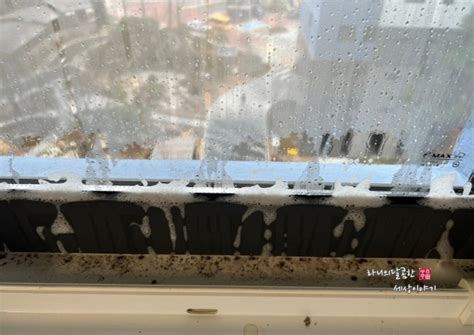 결로현상 베란다 결로방지페인트 곰팡이 간단한 제거법 네이버 블로그