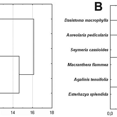 Upgma Dendrograms Showing The Relationships Of Pollen Grains Of Species Download Scientific