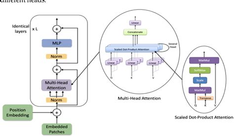 Figure 3 From Transformers And Generative Adversarial Networks For Liveness Detection In
