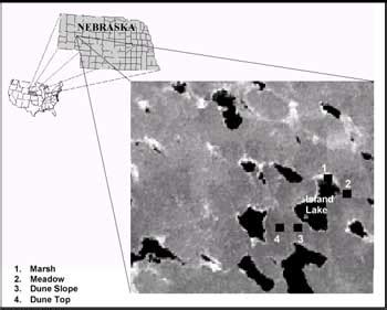 Characterizing Patterns And Trends Of Wetland Vegetation Using The