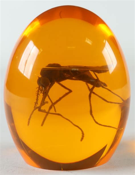 Jurassic Park Prop Replica Mosquito In Amber In Glass Display Case With