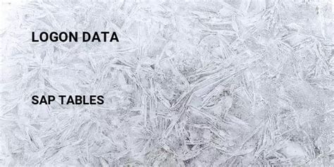 Logon Data Table In Sap