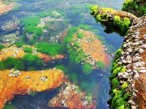 广东一座适合露营潜水的海岛—庙湾岛 知乎