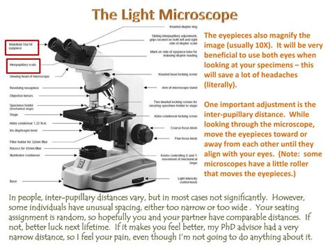 Ppt An Introduction To Light Microscopy Powerpoint Presentation Free
