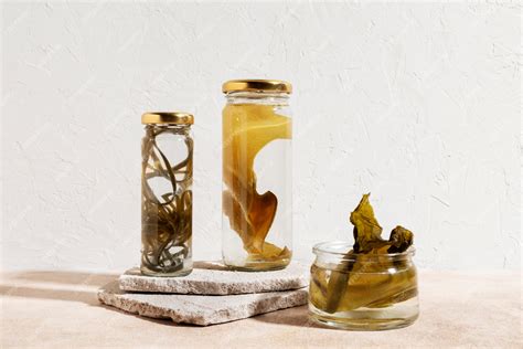 Premium Photo Still Life Of Algae And Moss In Bottles