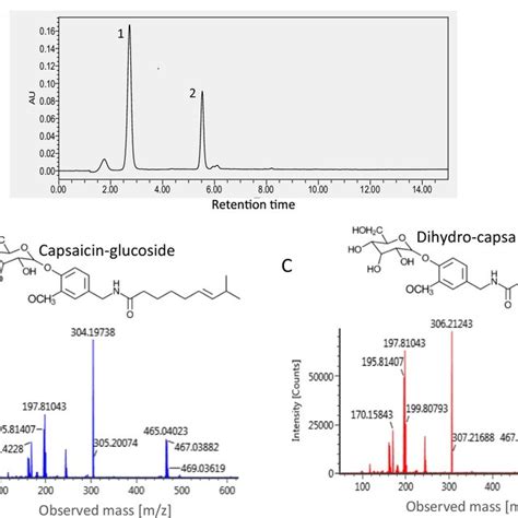 UPLC ESI Q TOFMS PDA Characteristic Of Fresh Hot Red Pepper Download Scientific Diagram