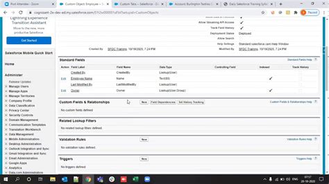 Salesforce Custom Objectfields Creation Part 1 Sfdc Training Telugu