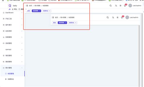 从动态表单里面点了确定，再返回功能就变样了需要怎么改回去 Catchadmin 讨论区 Catchadmin 后台管理系统框架 最新