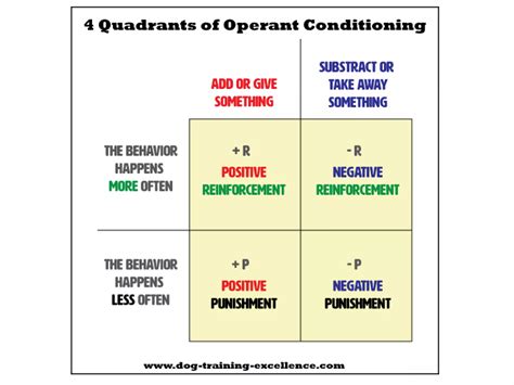 Behavioral Analysis Pptx