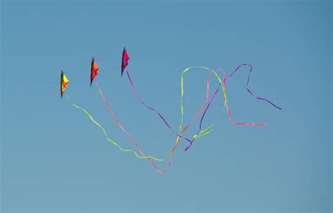 Premium Photo Low Angle View Of Kite Flying Against Blue Sky