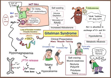 Gitelman Syndrome Ncct Defect Creative Med Doses