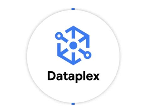 dataplex pricing