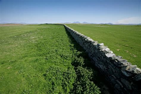 Corncrake Calling Corncrake Conservation Project
