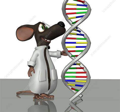 Transgenic Mouse Conceptual Artwork Stock Image G2850146 Science Photo Library