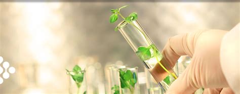Laboquip For All Your Laboratory Equipment