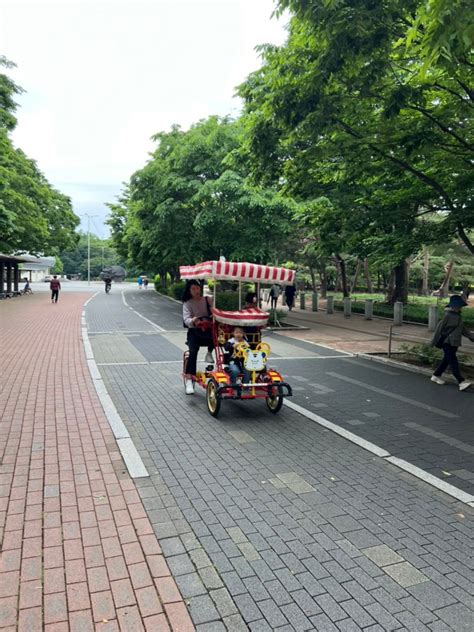 올림픽공원 세계평화의문 근처 자전거대여소 3인용 자전거 가격 대여방법 및 후기 네이버 블로그