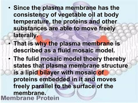 Structure And Function Of Cell Membrane Ppt