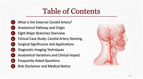 Branches Of External Carotid Artery Mnemonic