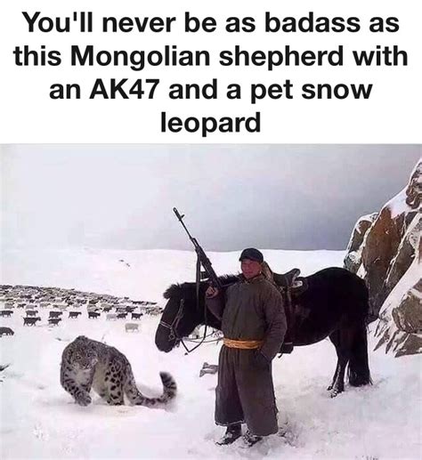 The Best Nomad Memes Memedroid