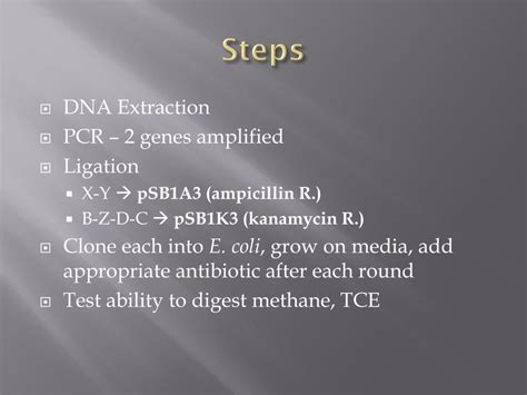 Ppt Isolating Methane Monooxygenase Gene From Methylomonas Methylosinus Species Powerpoint
