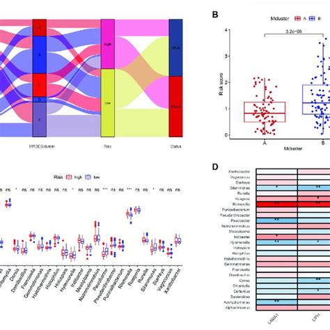 The Correlation Of Microbiome Derived Subtypes And Signature A Download Scientific Diagram
