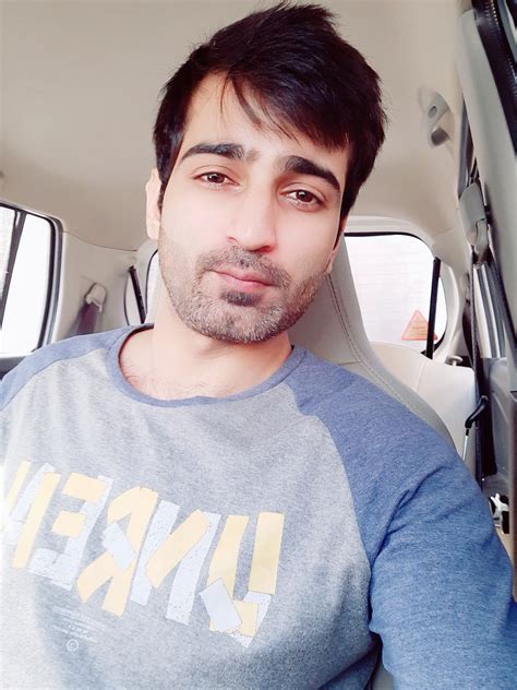 Penguin Vs Puffin Tell The Difference Now Birds E Pedia