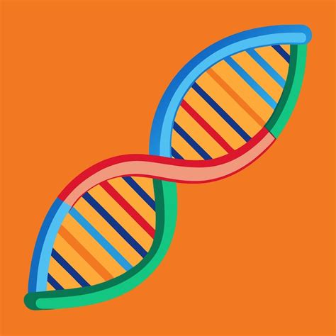 Detailed Vector Illustration Of A Dna Strand With Double Helix
