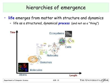 Ppt Simulation And Complexity Scb Simulating Complex Biosystems Powerpoint Presentation Id