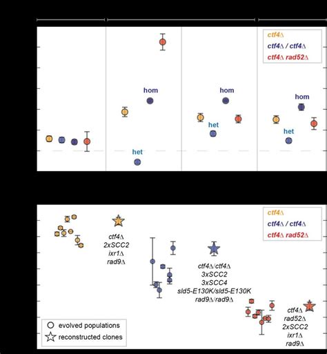 Reconstructed Adaptive Mutations Can Produce Evolved Fitness Increases Download Scientific